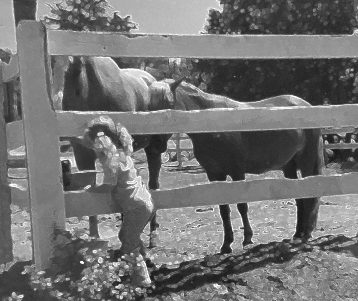 Lessons Learned From a Legend: Riding 104 – RA Anderson